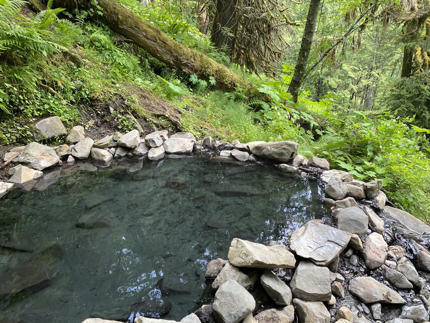 Elwha River and Olympic Hot Springs — Joshua Wier