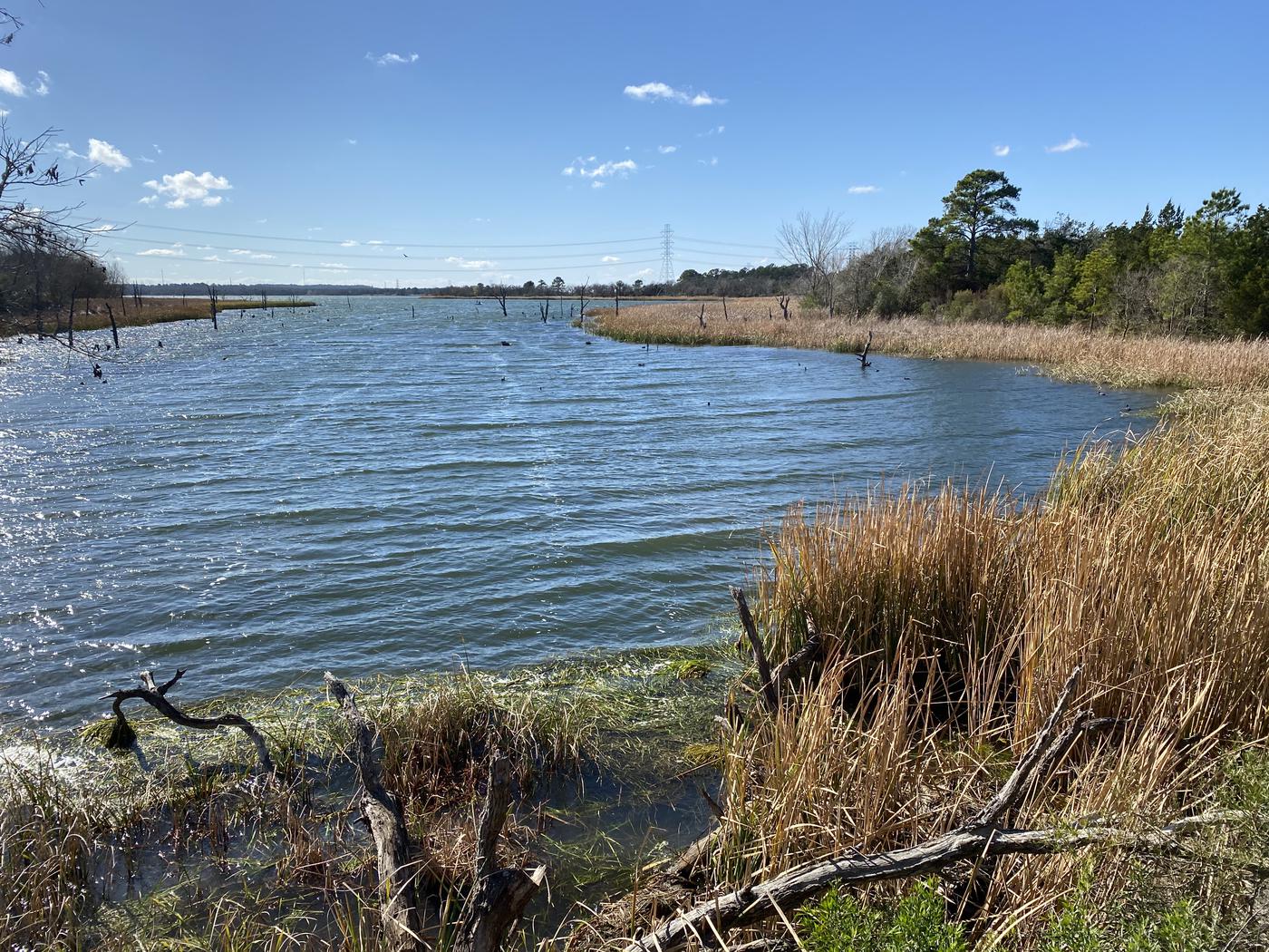 December 27, 2020 — Joshua Wier